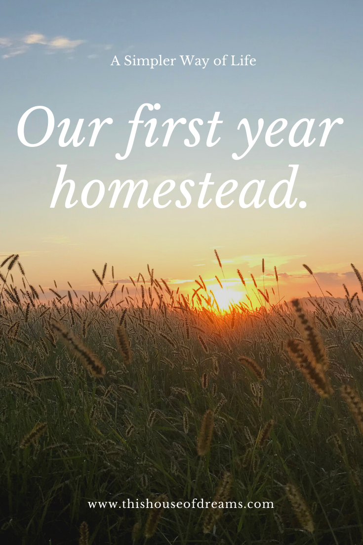 Our First Full Year on the Farm - This House of Dreams