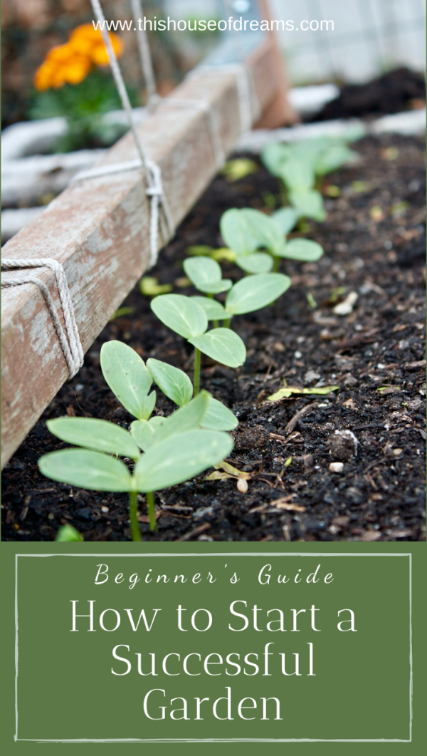 Simple Steps To Start A Garden (for the beginner) - This House of Dreams