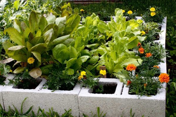 How to Make a Grid for your Square Foot Garden - This House of Dreams