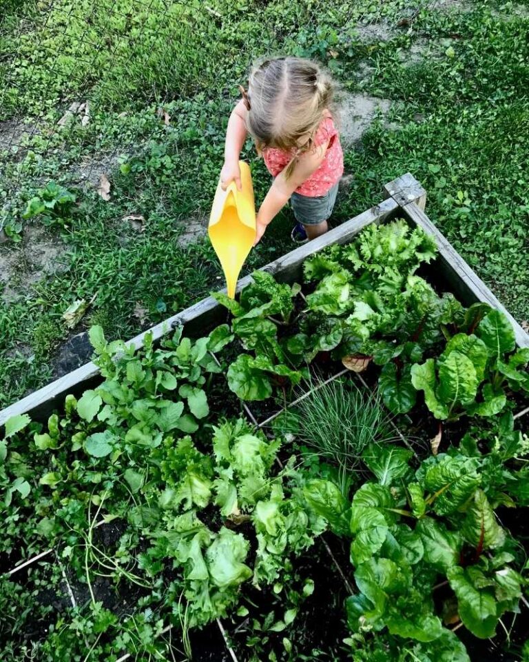 Square Foot Garden Grid Ideas - all about hobby