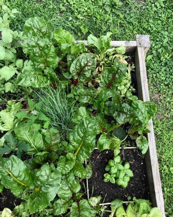 How to Make a Grid for your Square Foot Garden - This House of Dreams