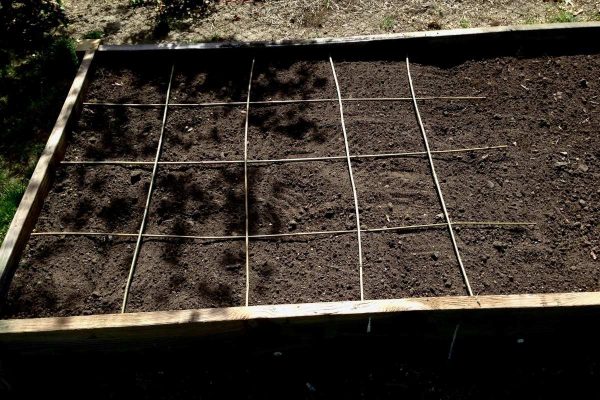 How to Make a Grid for your Square Foot Garden - This House of Dreams