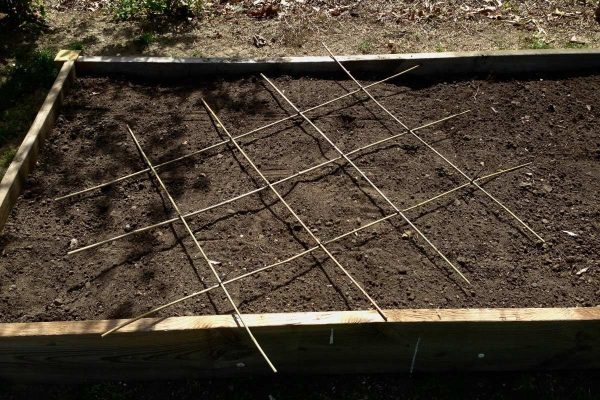 How to Make a Grid for your Square Foot Garden - This House of Dreams