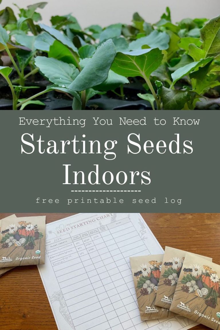 Indoor Seed Starting Guide: from seed to planting out - This House of ...