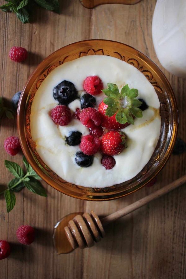 How To Make Raw Milk Yogurt in the instant pot - This House of Dreams